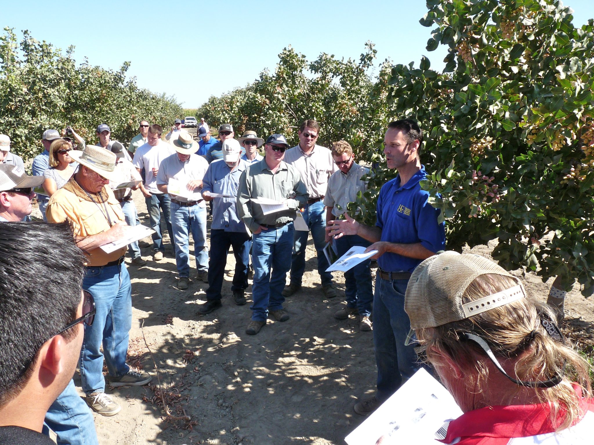 Farm Advisor Profile: David Haviland | West Coast Nut