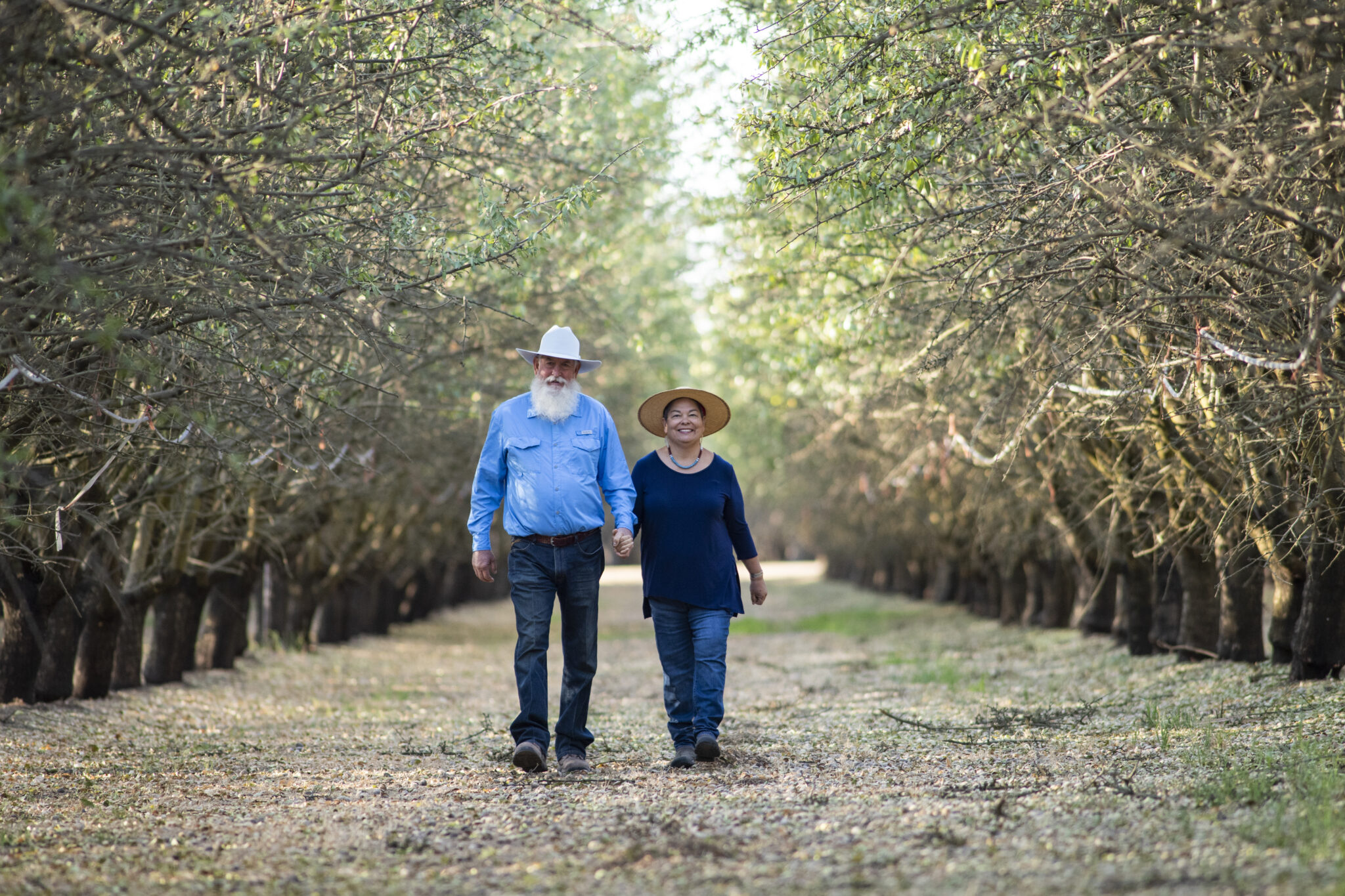 Almond Grower Banks on Regenerative Almond Orchard Practices | West ...