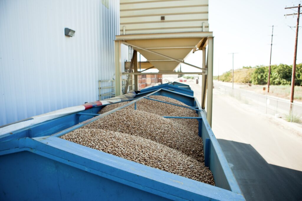 Adding Value in Hulling and Shelling | West Coast Nut