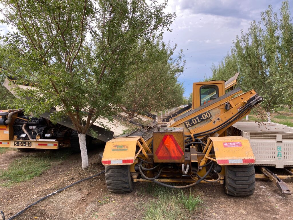 Making the Transition to Off-Ground Almond Harvest | West Coast Nut
