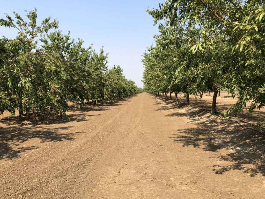 Herbicide Mode of Action Classification System Receives Important ...