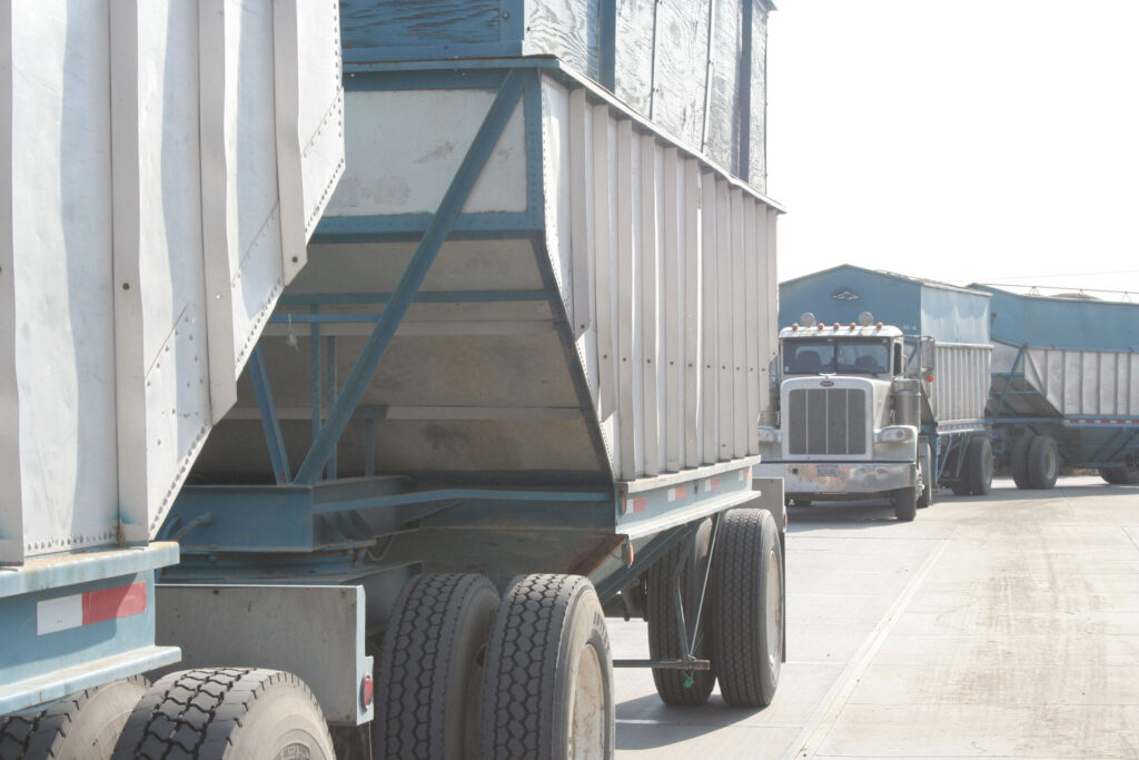 The Outlook for California’s Almond Market | West Coast Nut