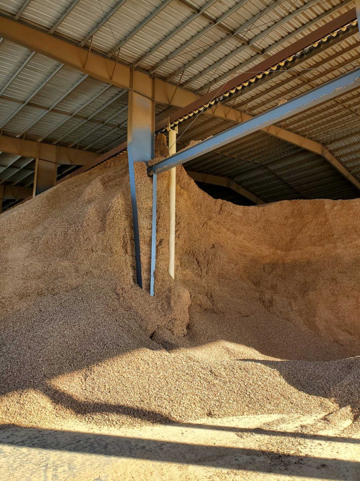 Almond Hull Prices are a Bright Spot for the Almond Industry | West ...