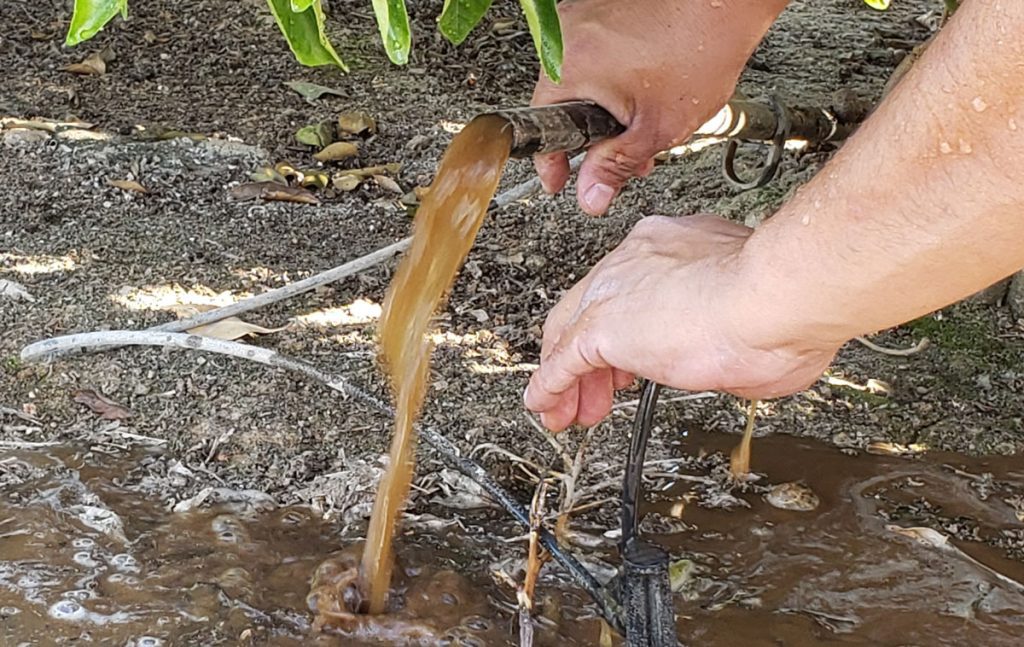 Proactive Maintenance is Key to Success with Buried Drip Irrigation ...