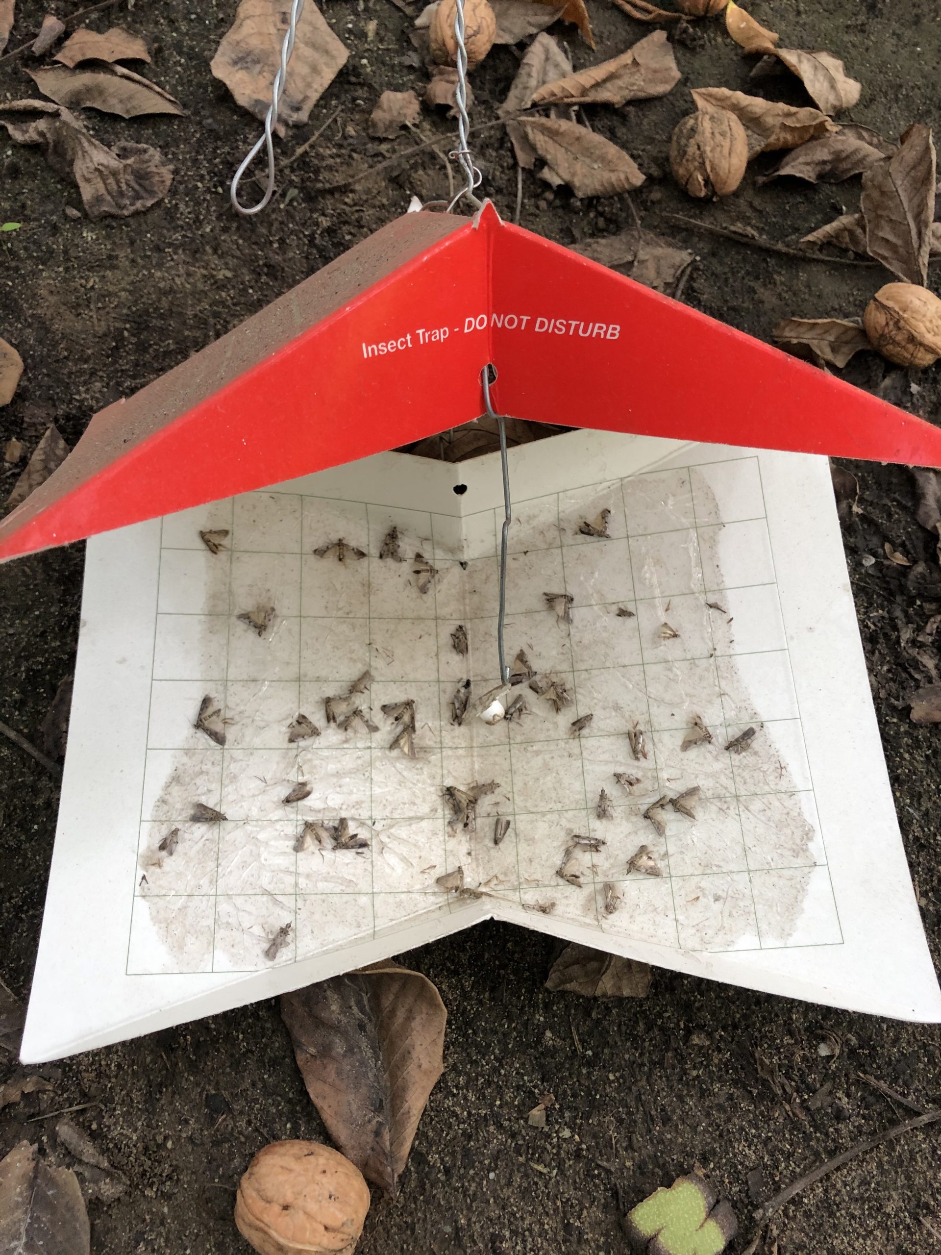 Top Five Tips for an Effective NOW Program | West Coast Nut