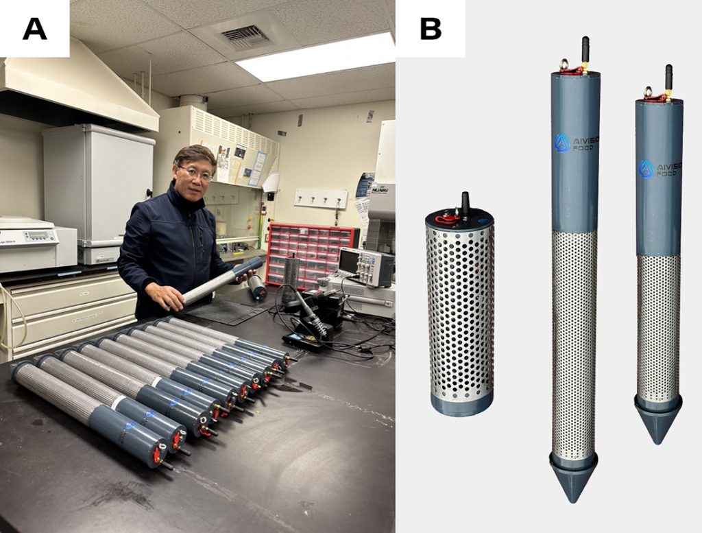 SmartProbe Technology for Early Post-harvest Insect Pest Detection and ...