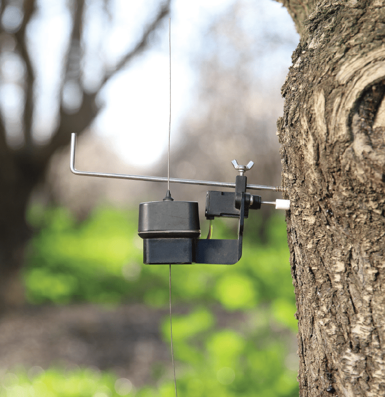 Remote Tree Sensors | West Coast Nut