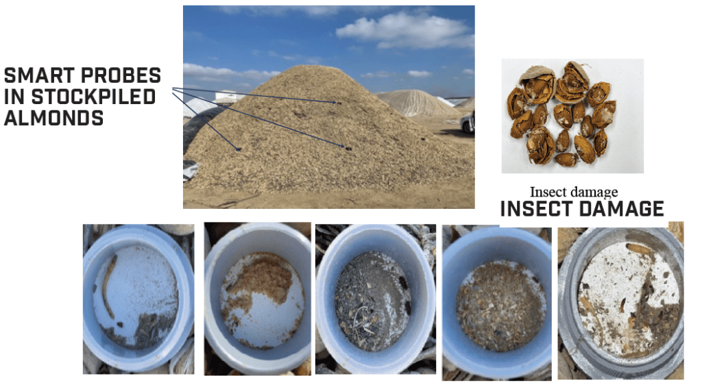 SmartProbe Technology for Early Post-harvest Insect Pest Detection and ...