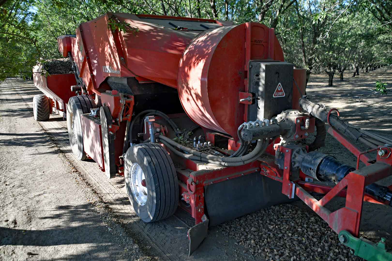 Don’t Kick Up Dust | West Coast Nut