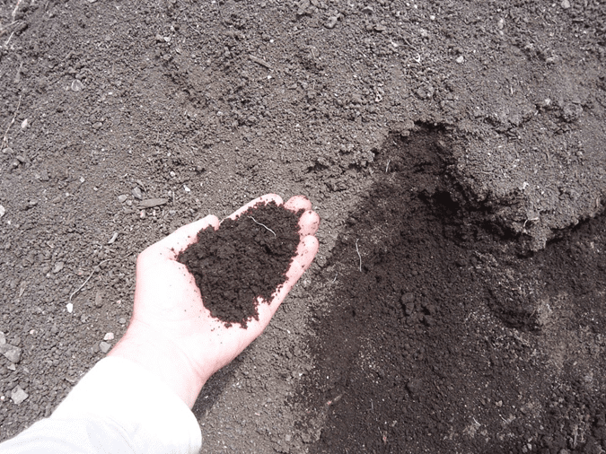 Five Important Things to Know About the Soil Before Planting an Orchard ...