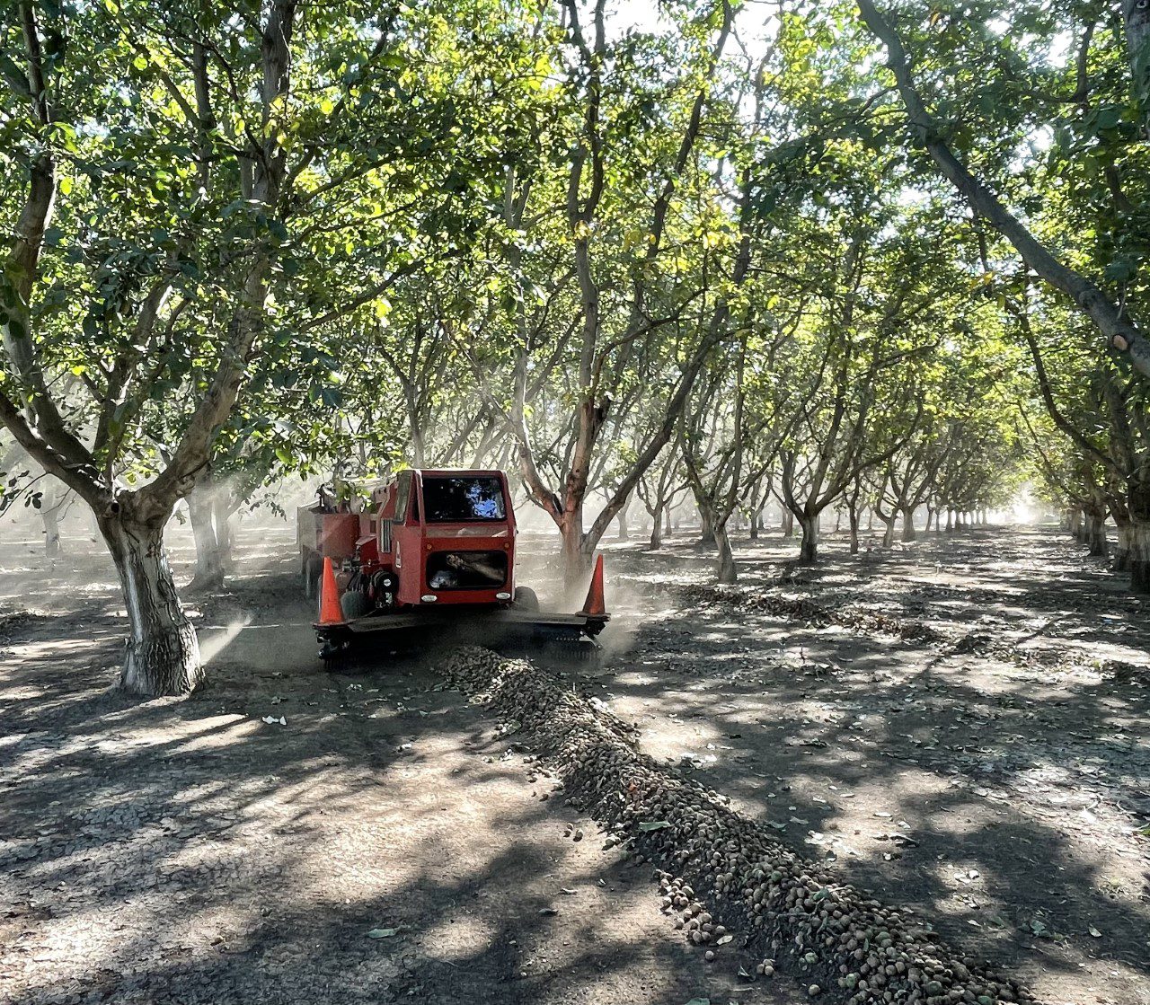 From the Orchard: Family Roots Tree Nut Grower Finds Her Way Back to ...