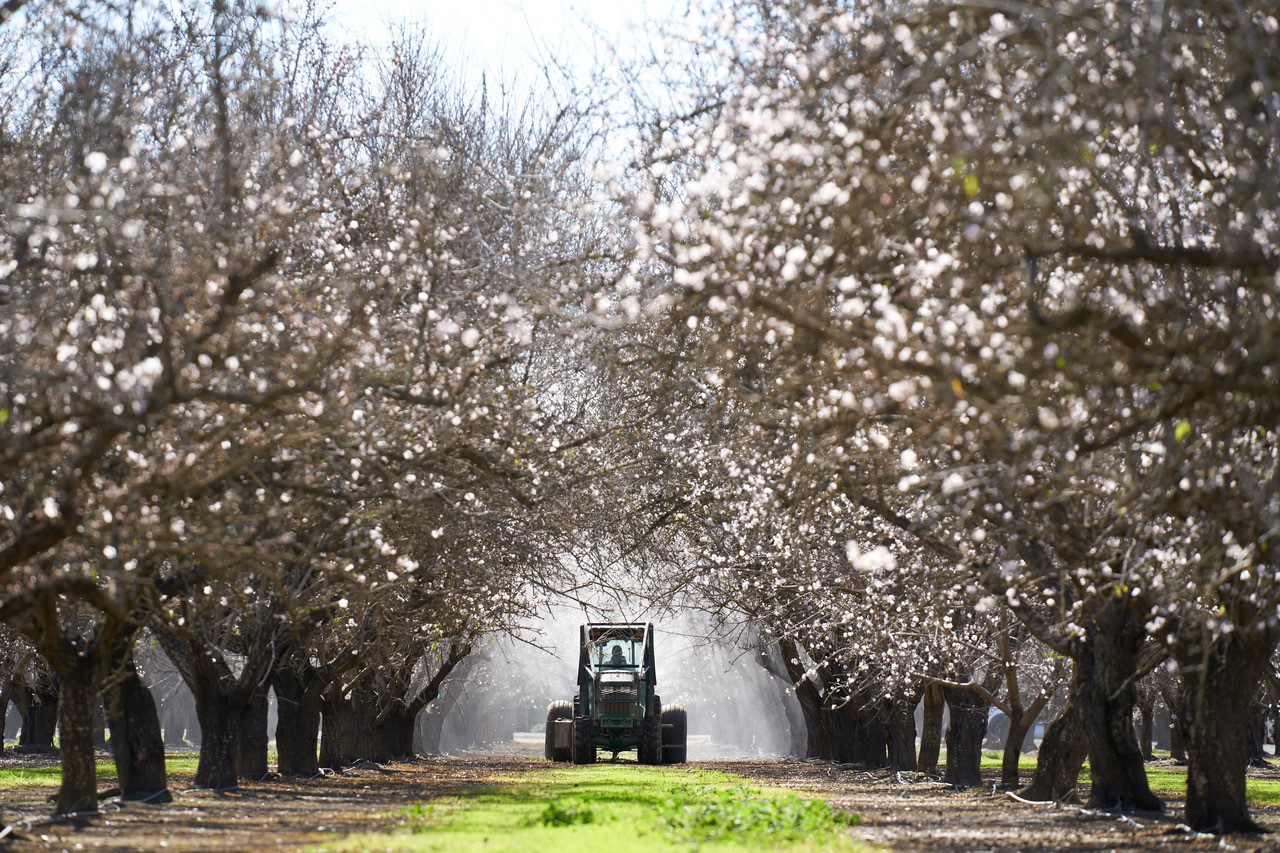From the Orchard: Julia Violich is the “Jill of All Trades” for Capay ...