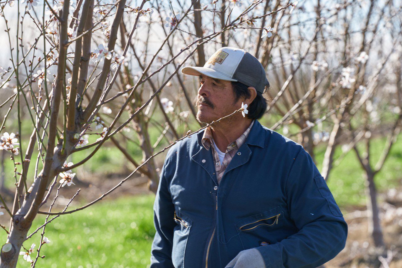 From the Orchard: Julia Violich is the “Jill of All Trades” for Capay ...