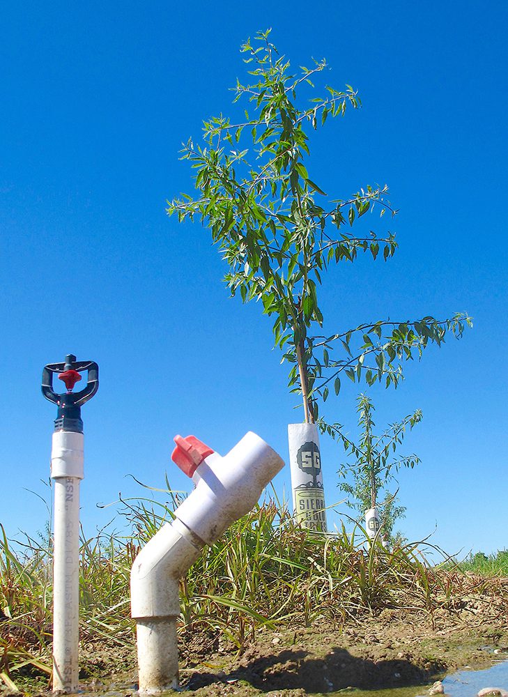 Getting the Best Out of Irrigation Using Soil Moisture Monitoring and ...