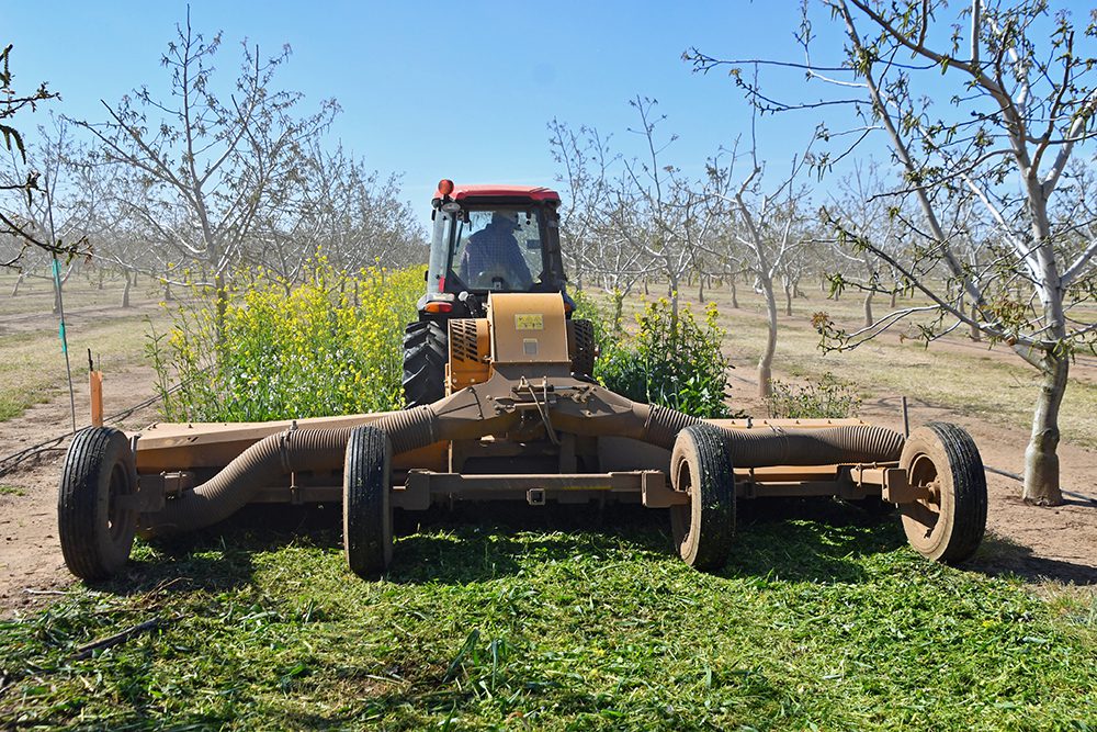 In It for the Long Haul: Linden Walnut Grower Melds Traditional ...