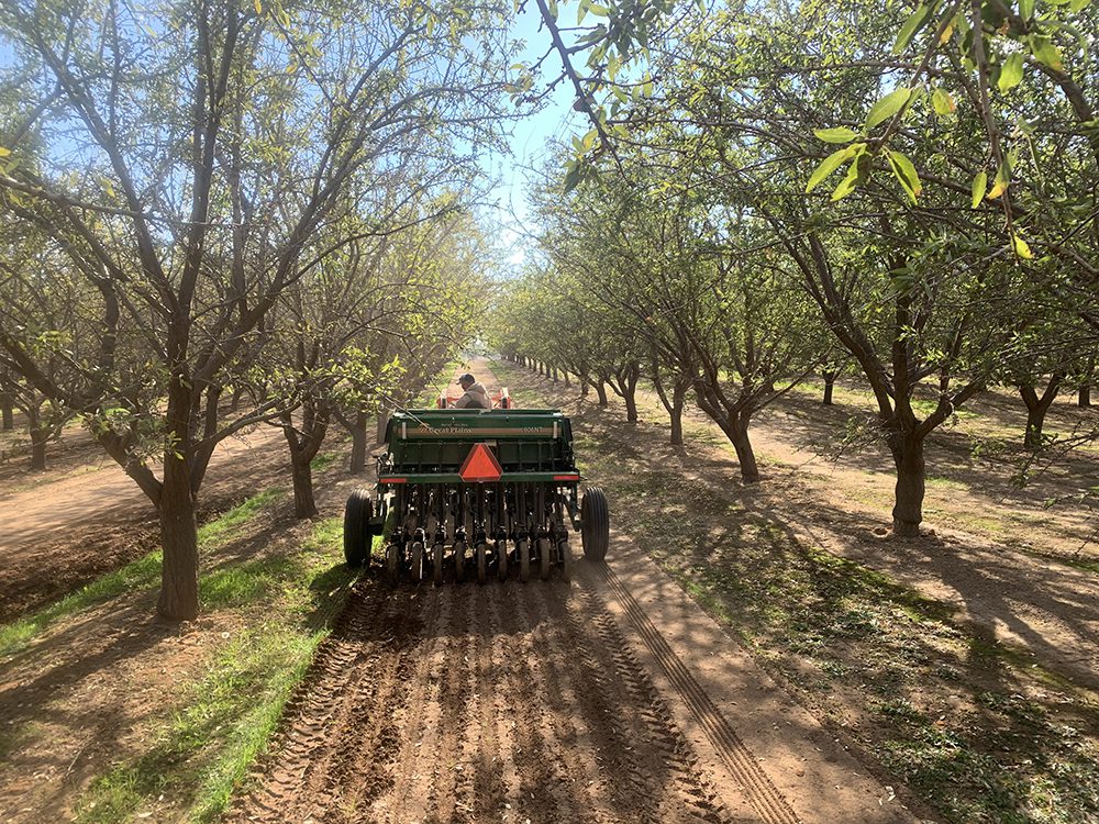 Sacramento Valley Nut Orchards: Fall Considerations | West Coast Nut