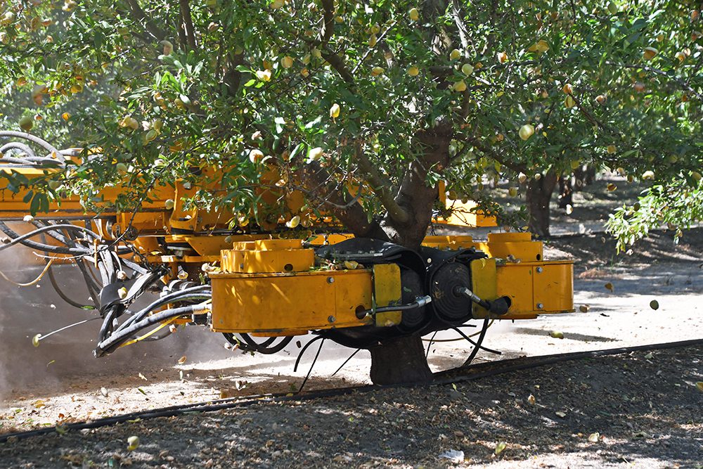 New Autonomous Shaker Highlights Potential for New Technology at Recent ...