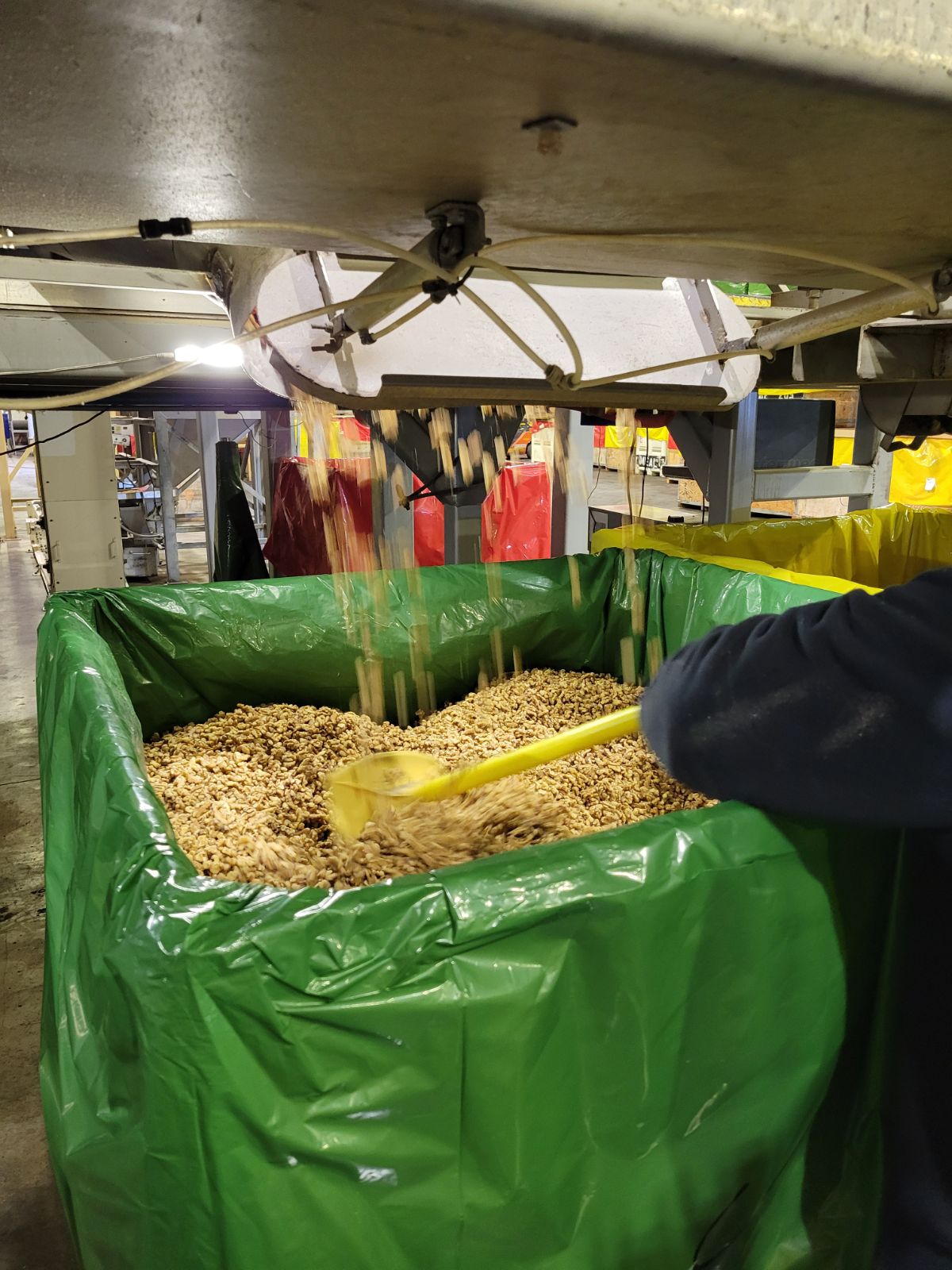 Walnut Industry Leaders Share Challenges and Efforts to Bolster Sales ...