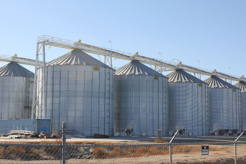 Larger Pistachio Crops Push Processing Capacity | West Coast Nut