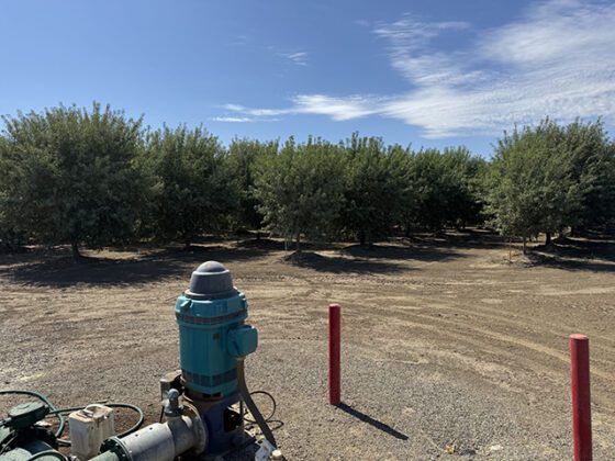 From the Orchard: How Tobin Barth Returned to Lead Capay Canyon Ranch ...